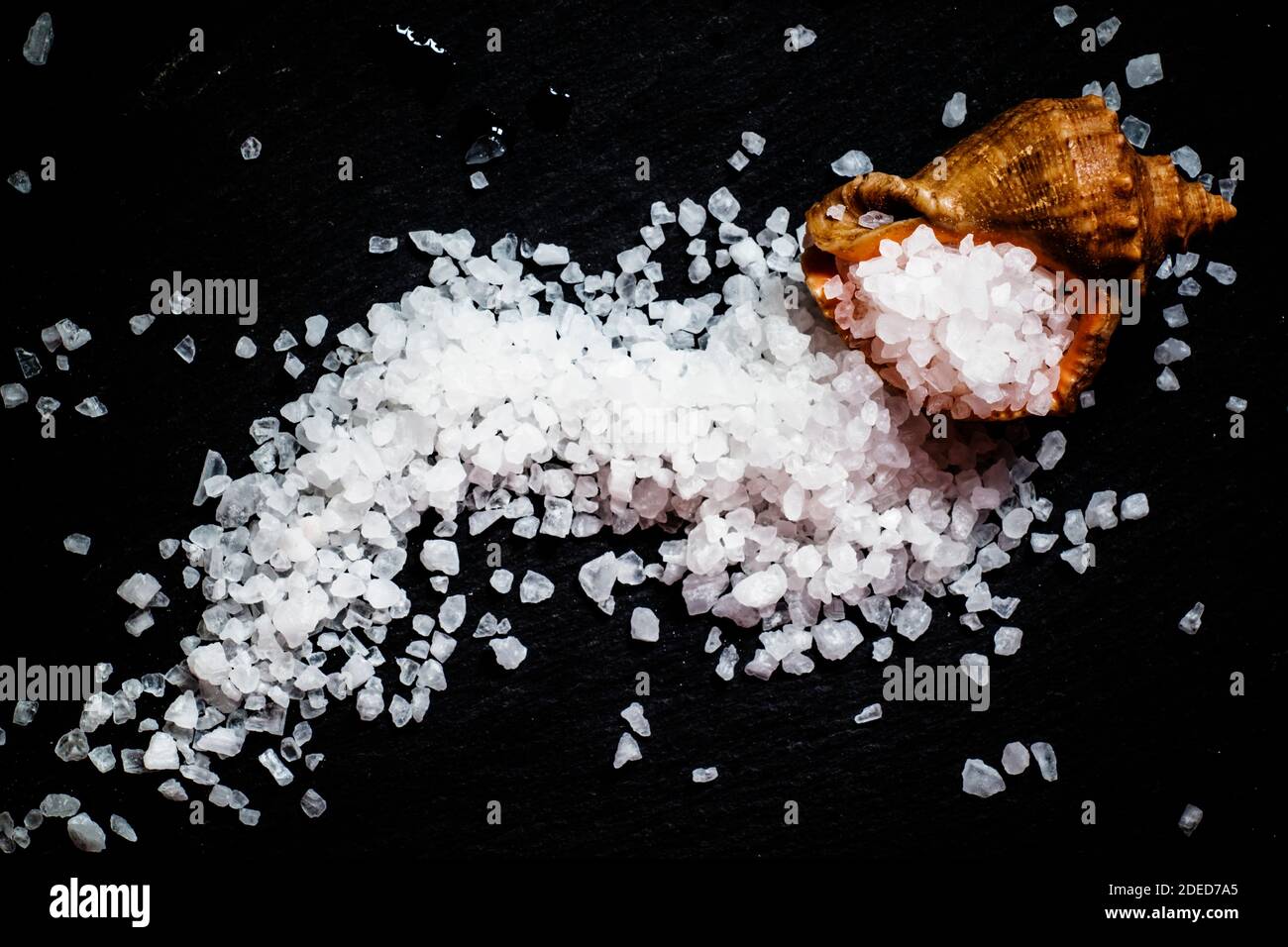 Shell shaker hi-res stock photography and images - Alamy