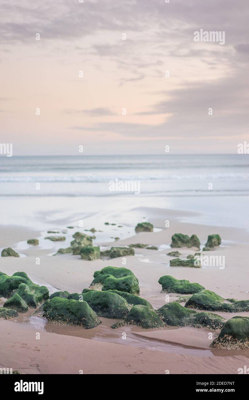 Beautiful scene green algae hi-res stock photography and images - Alamy