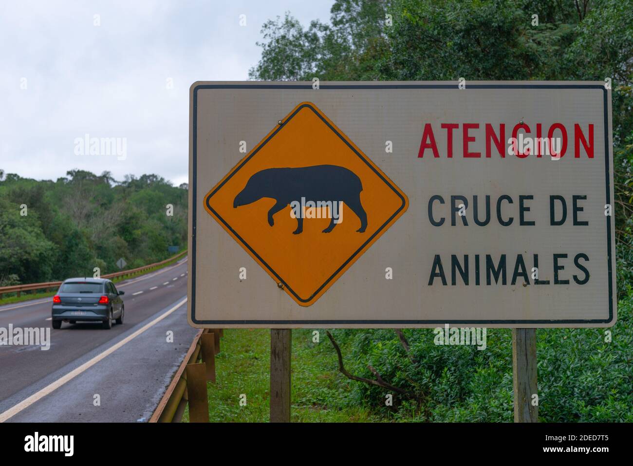 Traffic sign warning about crossing animals, travelling the N 12 ...