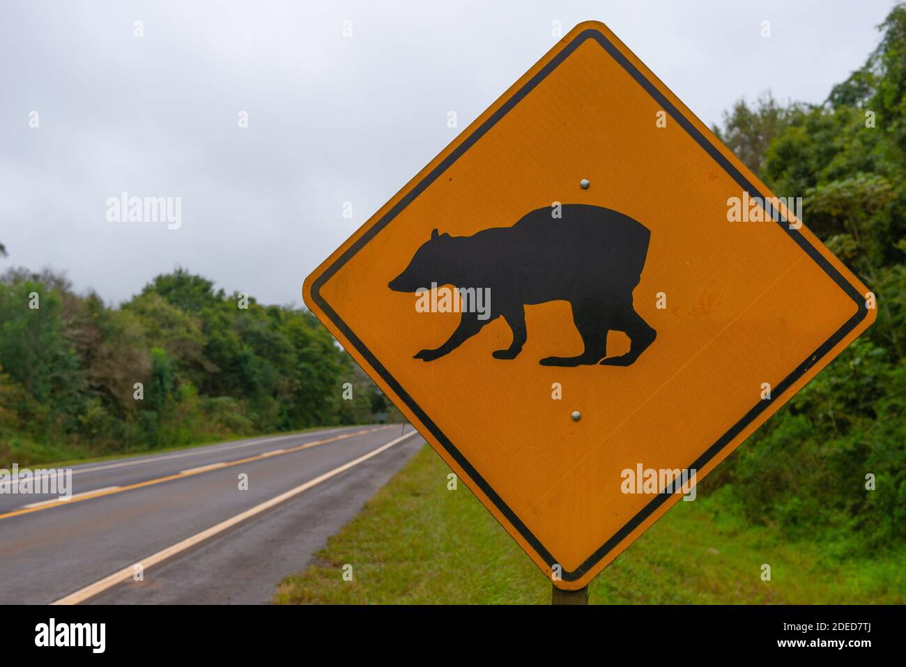 Dangerous animals sign hi-res stock photography and images - Alamy