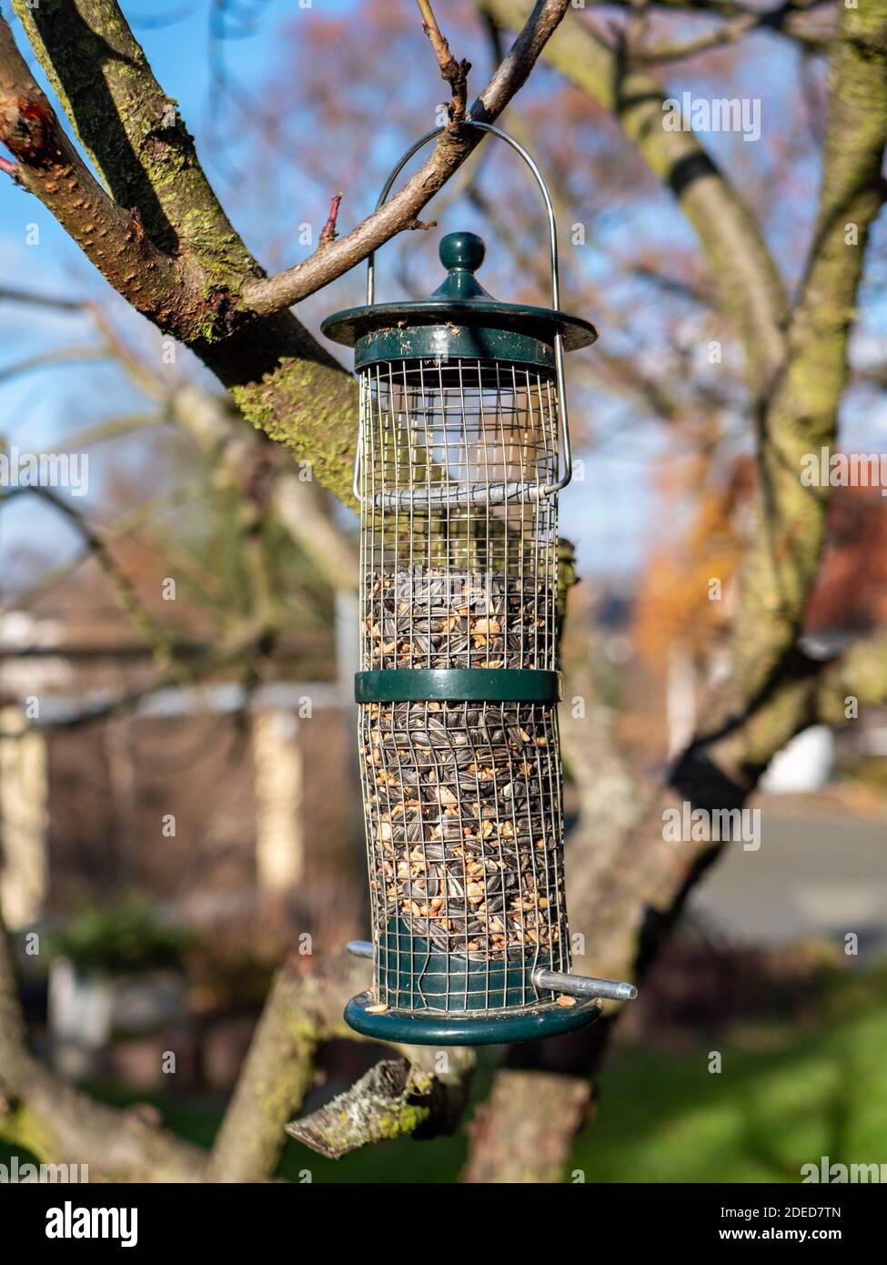 Seed box hi-res stock photography and images - Alamy
