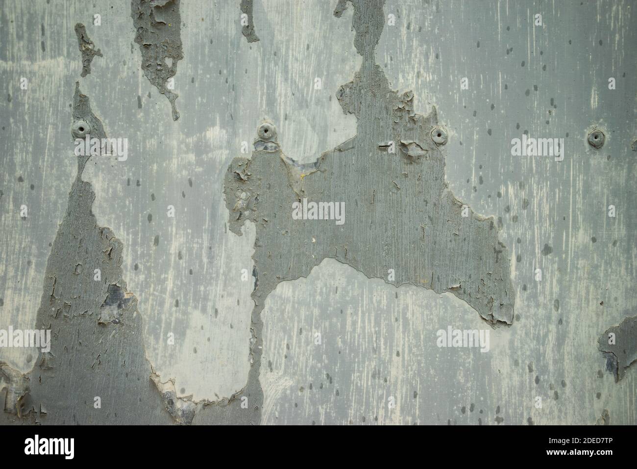 Grey metal wall texture Stock Photo - Alamy