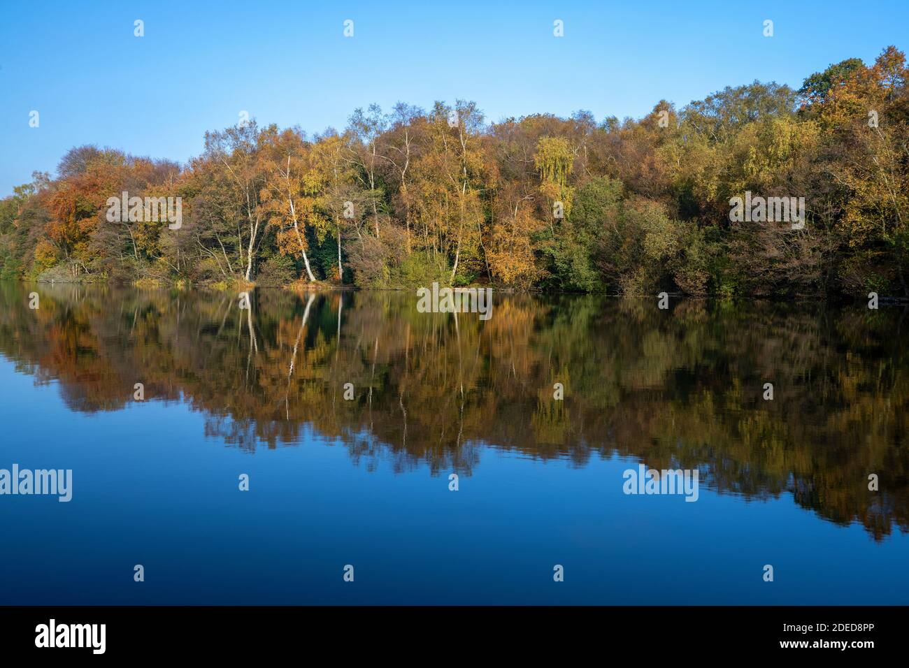 Slaugham mill pond, Slaugham, West Sussex, England, Uk Stock Photo - Alamy
