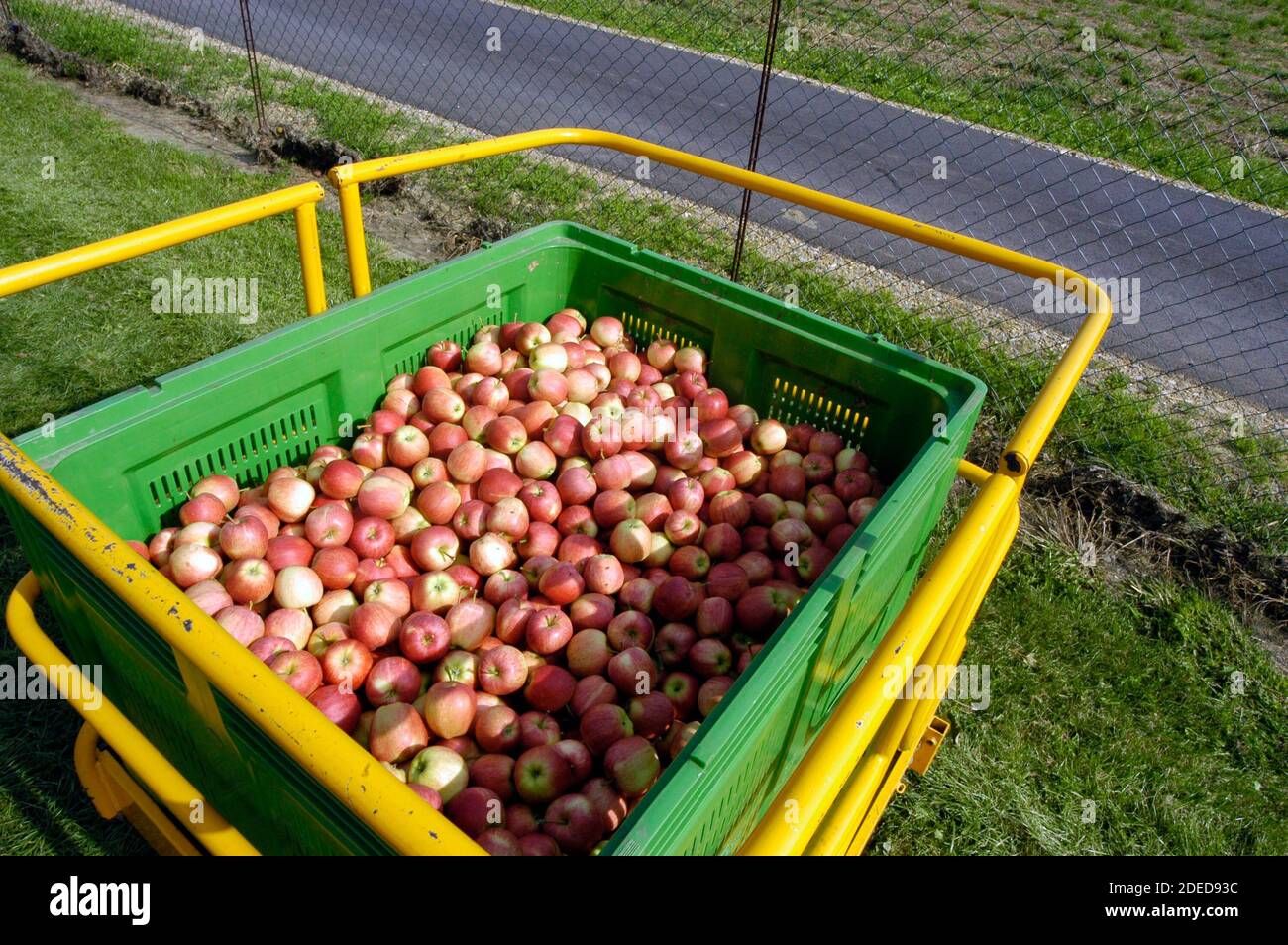 apple transport and shipping after harvest, fruit growing and food ...