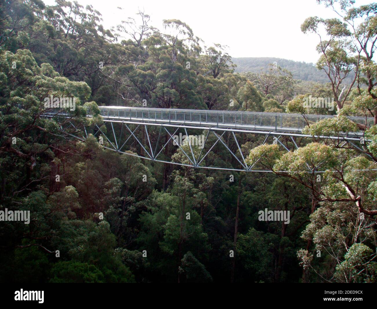 a pedestrian bridge build for crossing natural obstacles by foot Stock ...