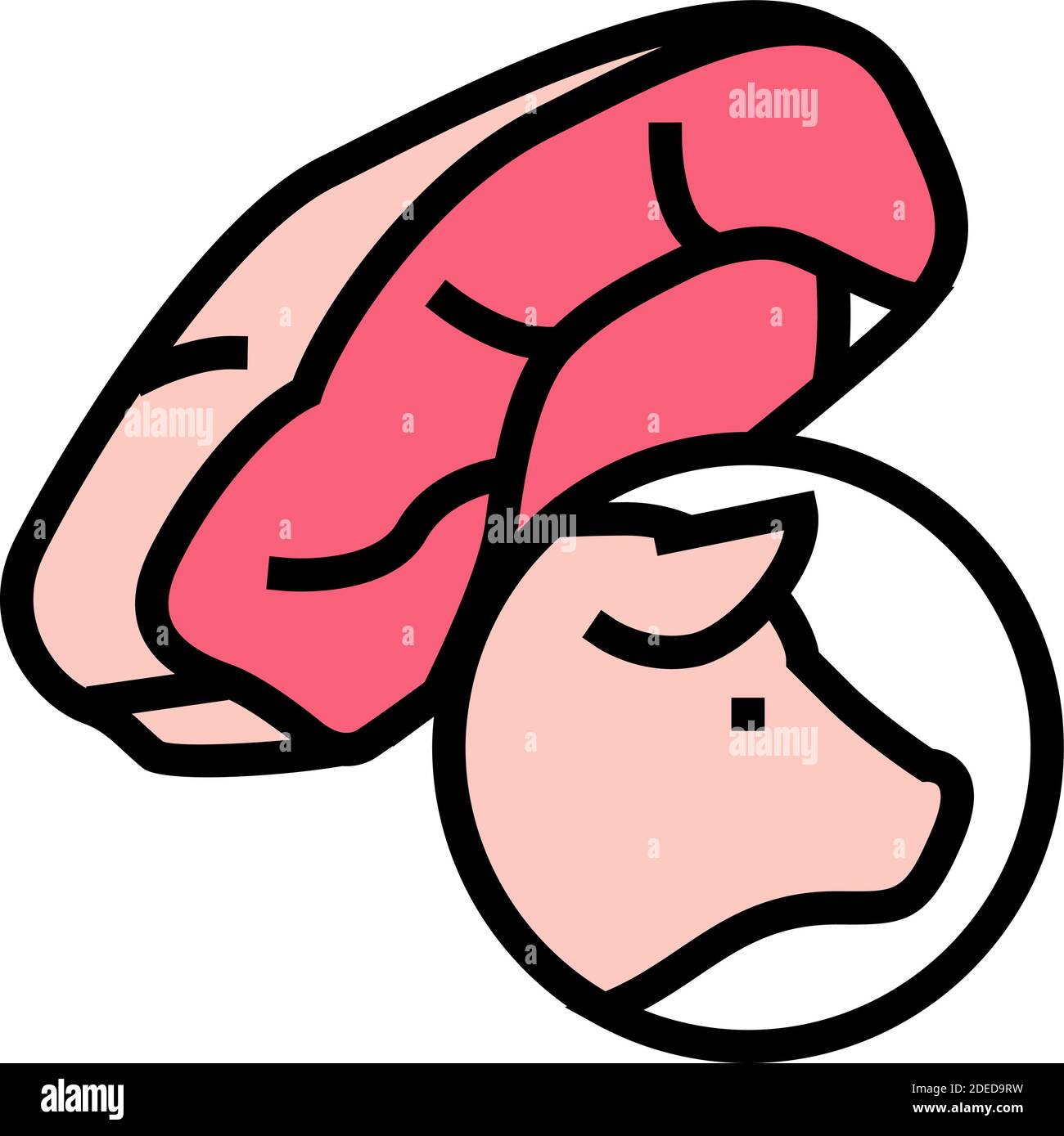 pork meat color icon vector illustration Stock Vector Image & Art - Alamy