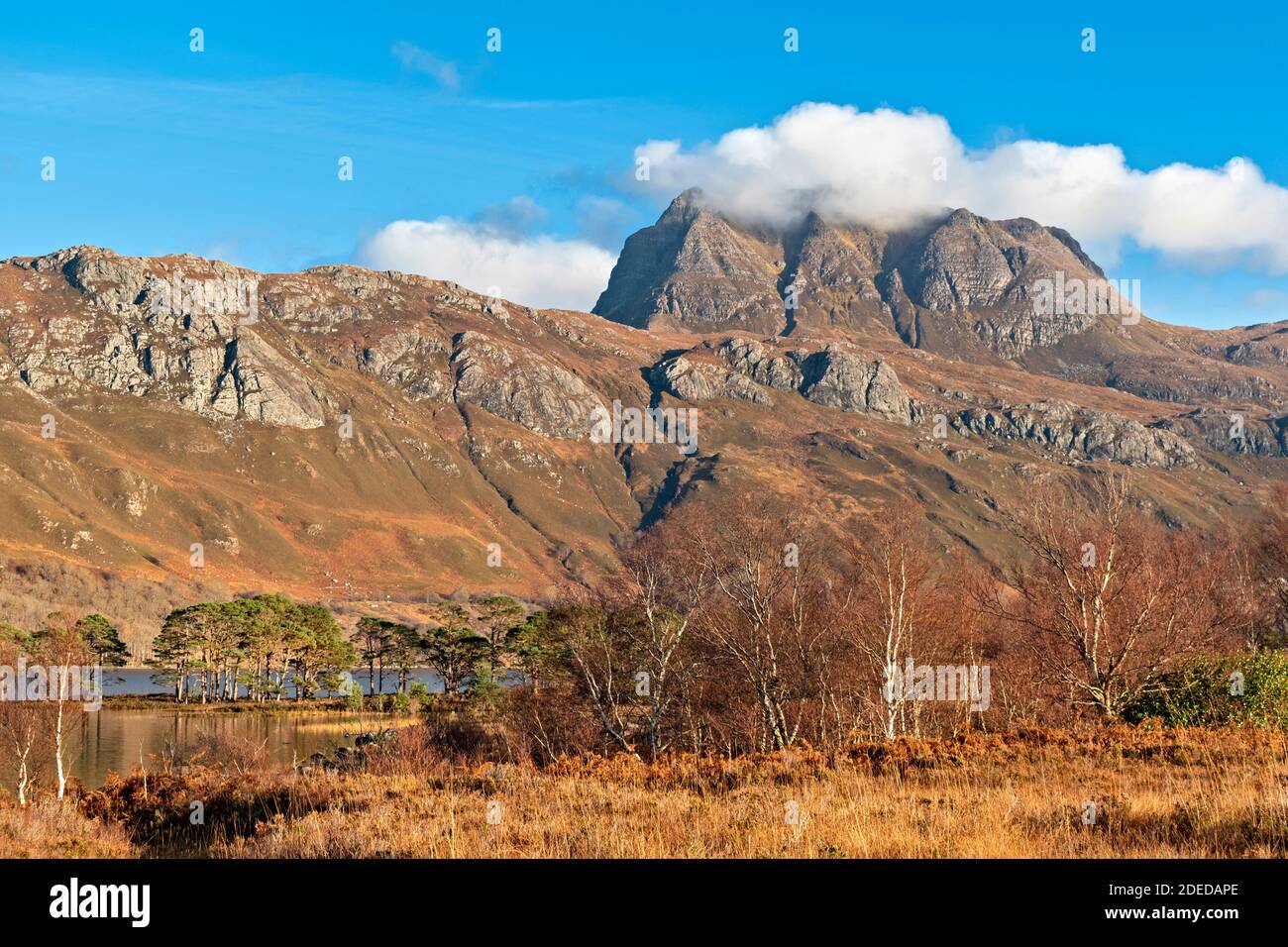 Ross munro hi-res stock photography and images - Alamy
