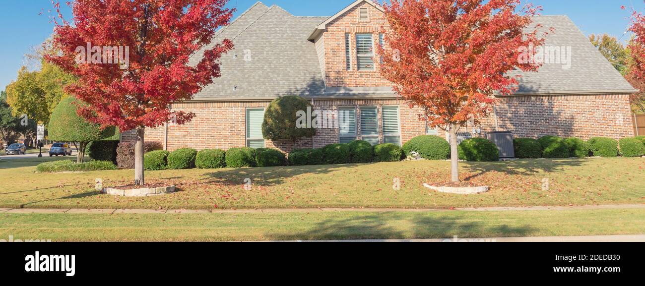 Panoramic view colorful red maple trees near two story houses in ...