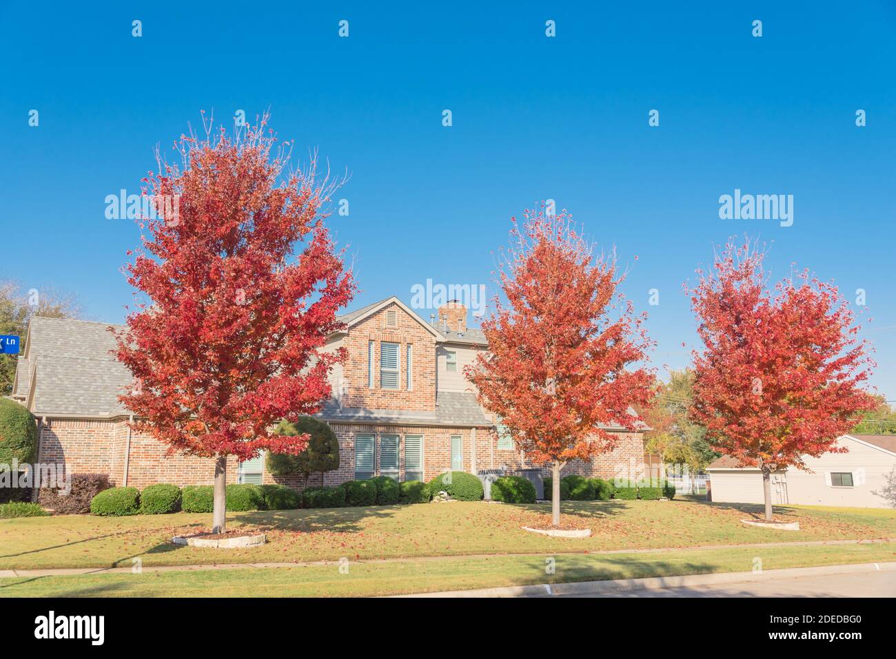 Colorful red maple trees near two story houses in suburbs Dallas, Texas ...