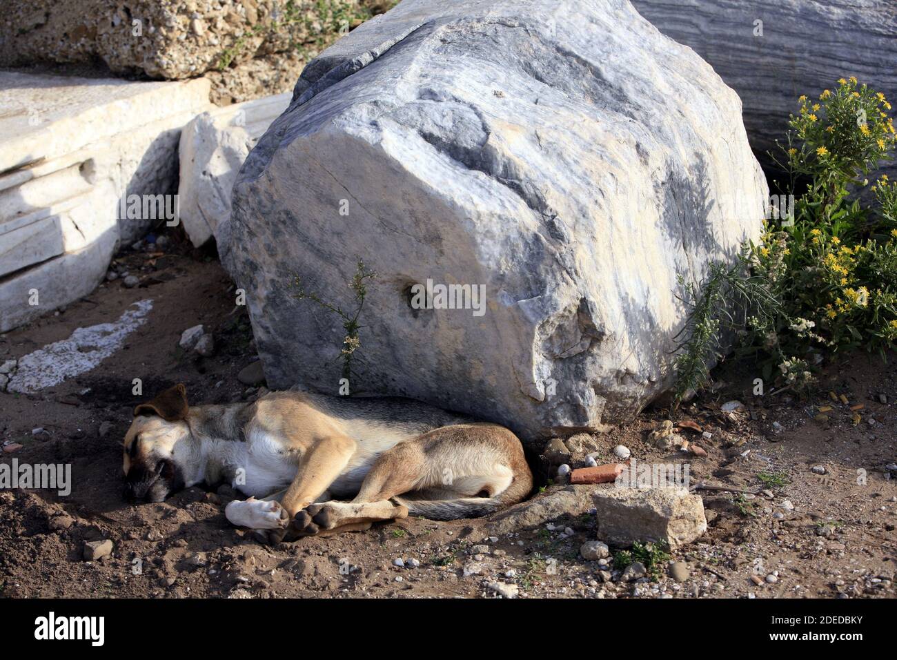 Ancient ruins in Side, Turkey, Antalya, Manavgat, Side Stock Photo - Alamy