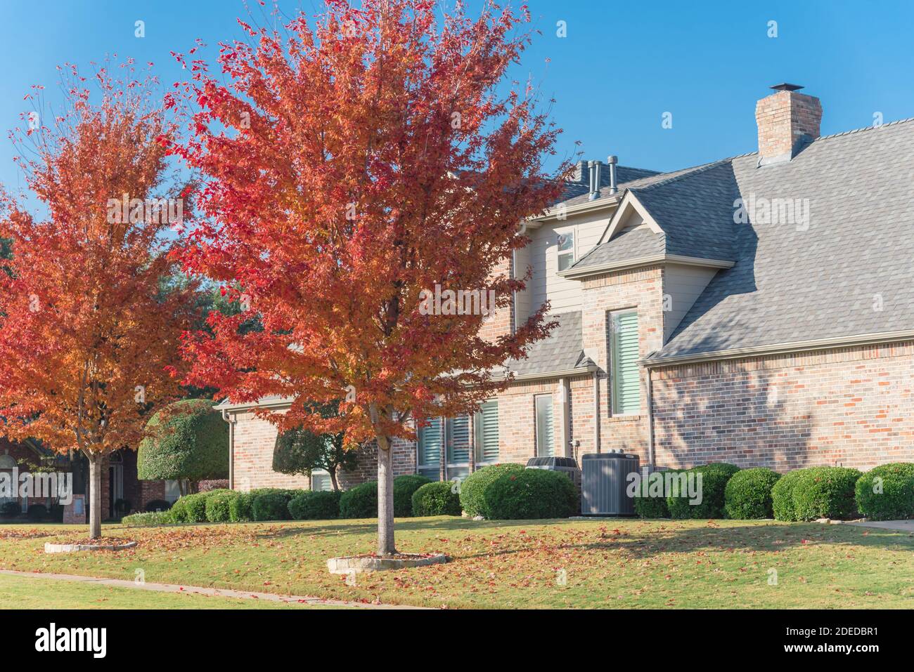 Beautiful fall foliage from row of red maple trees near new house in ...