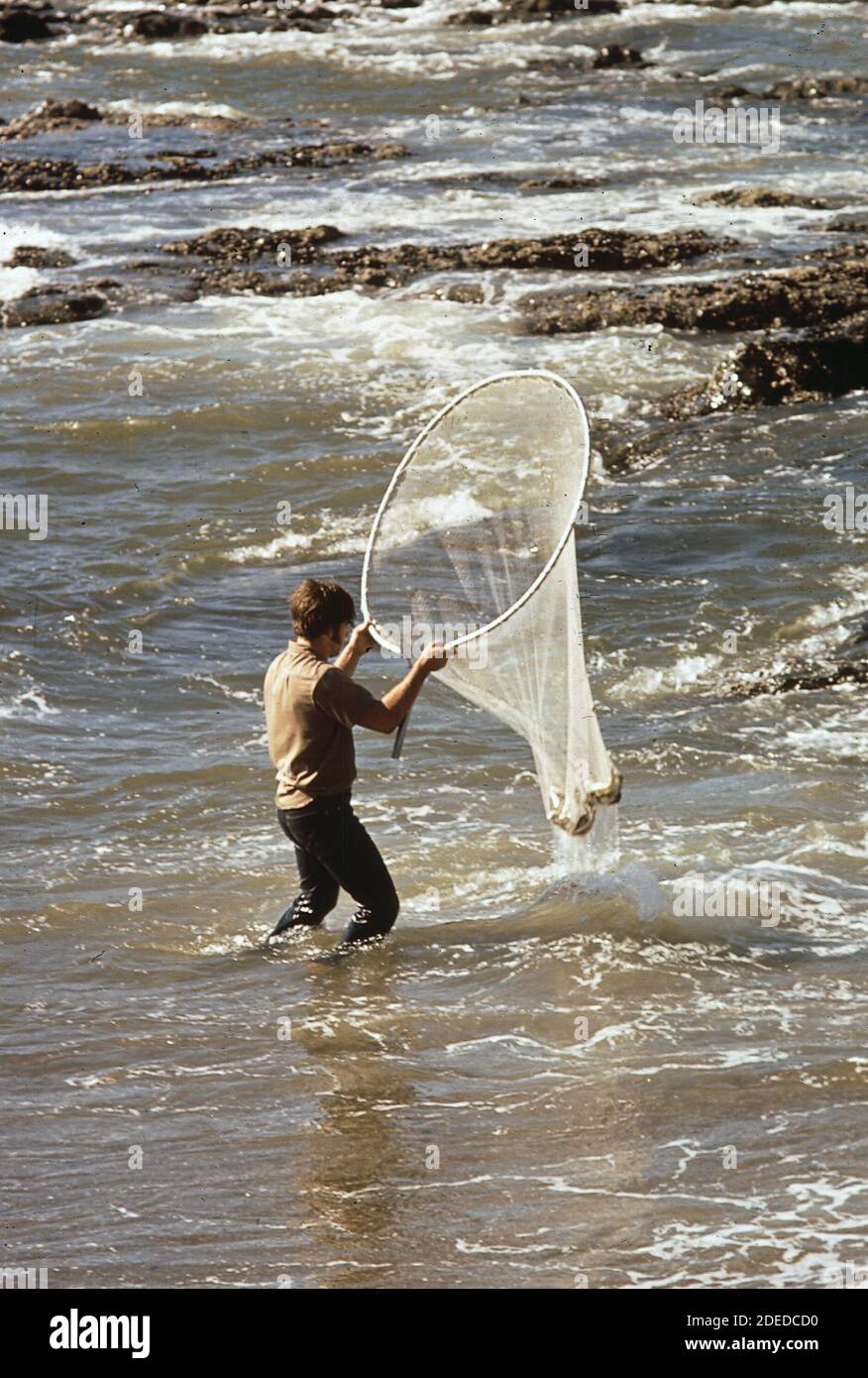 1970s smelts netting hi-res stock photography and images - Alamy