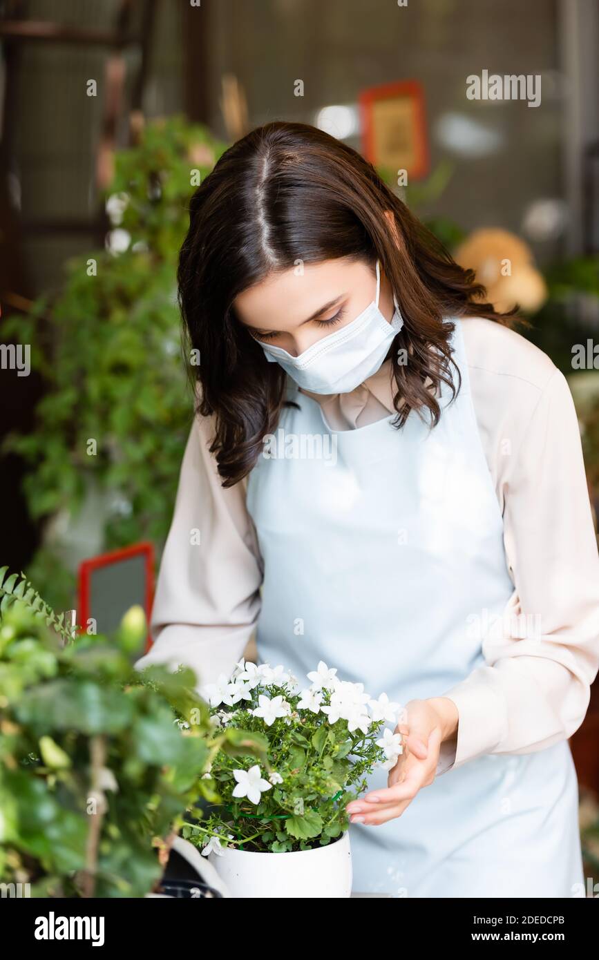 florist in medical mask touching potted plants in flower shop on ...