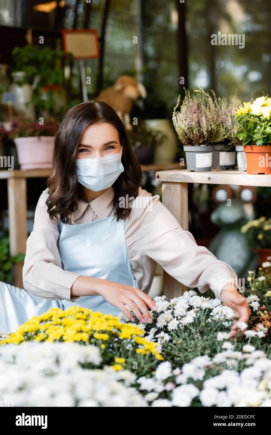 cheerful florist in medical mask touching chrysanthemums on blurred ...