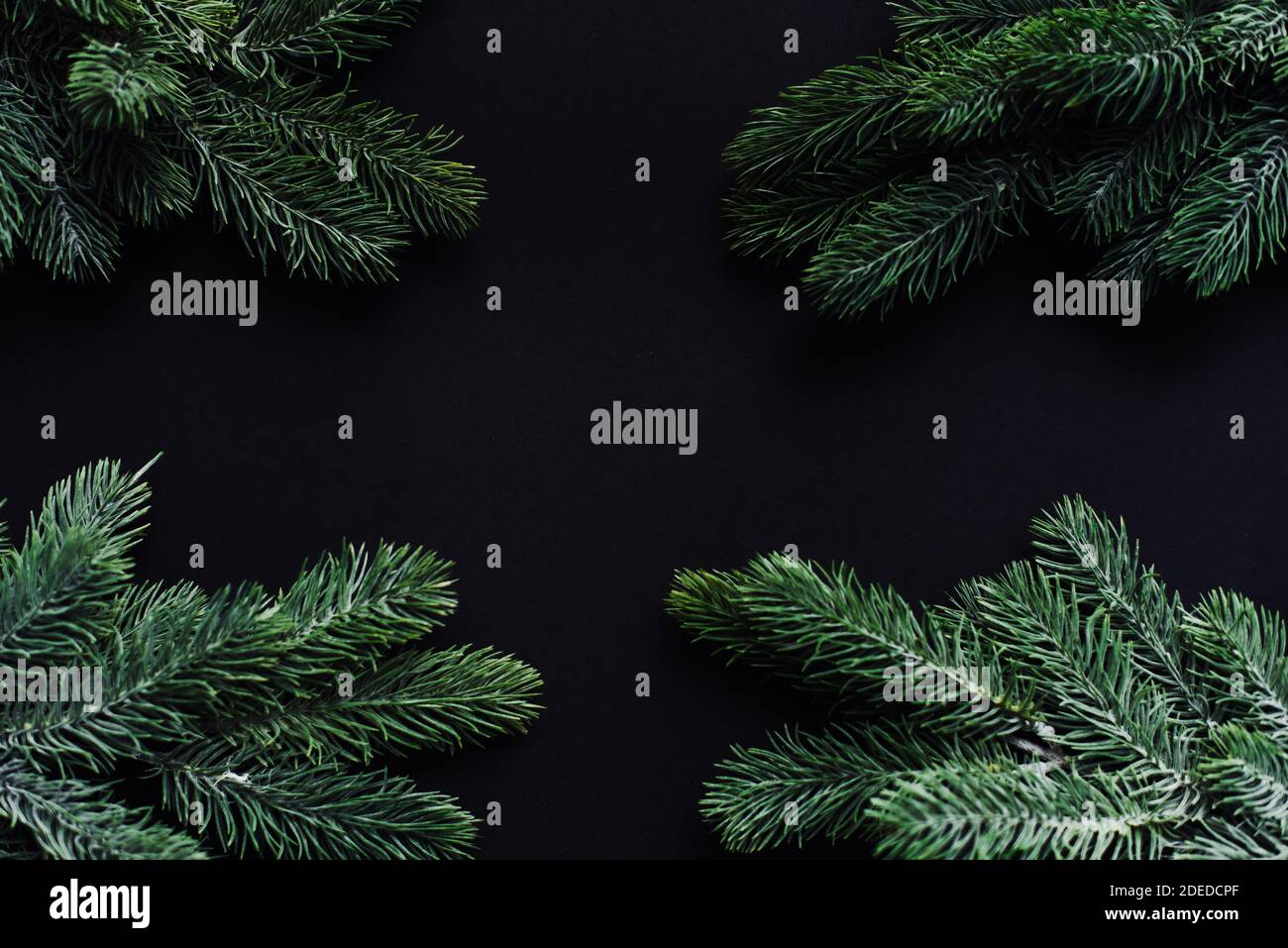 Christmas frame. Space for text between Christmas tree branches on a ...