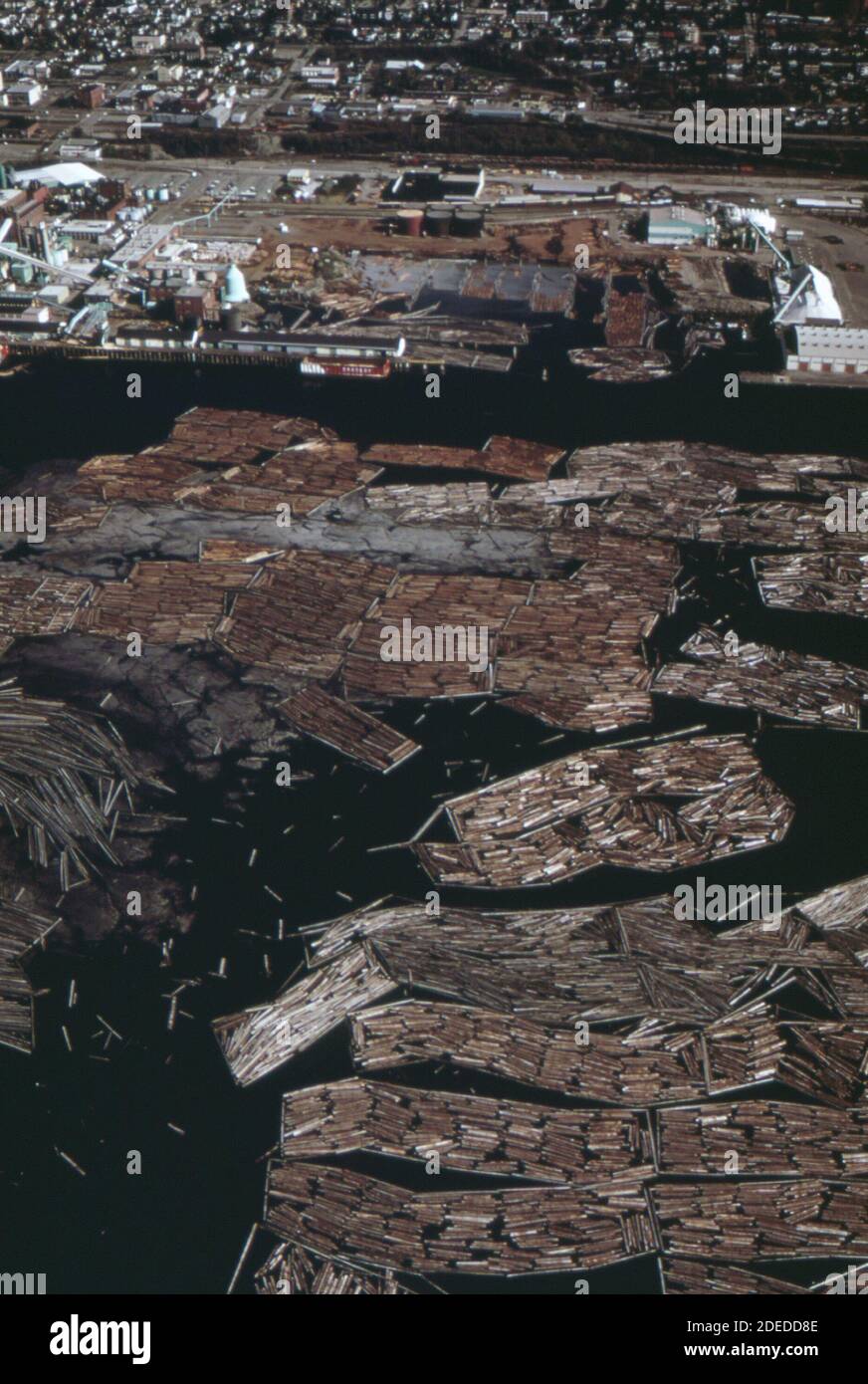 "1970s Photo (1973) - Rafted logs in Bellingham bay, Puget Sound Stock ...