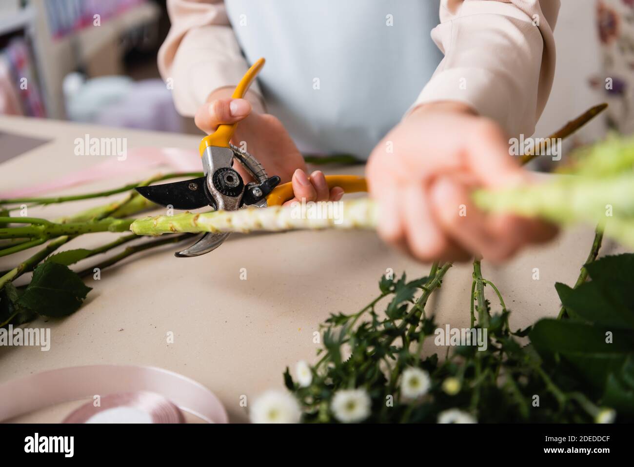 Close up view of florist with secateurs cutting stalk of plant near ...