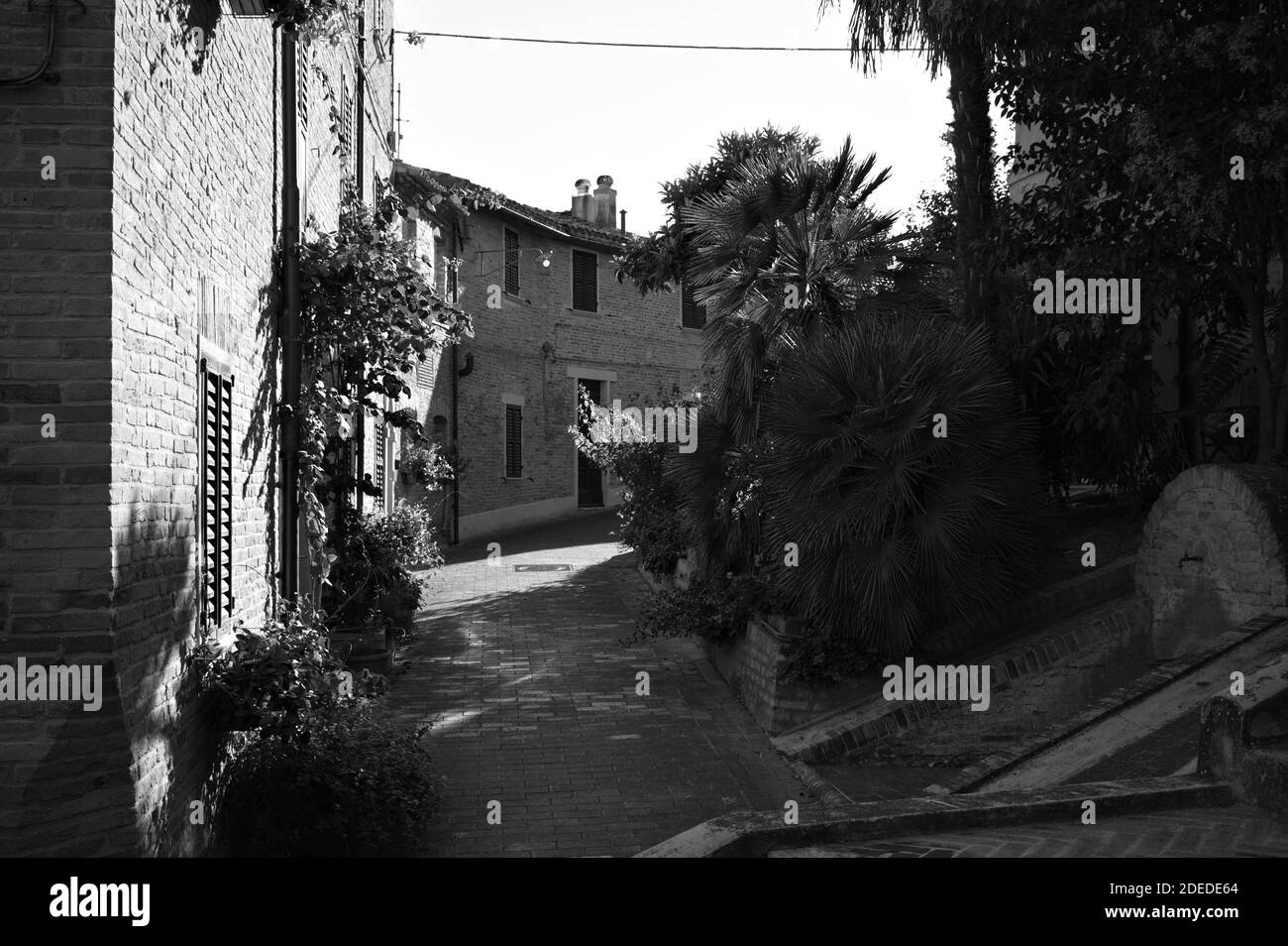 An alley of a medieval Italian village with brick buildings and exotic ...