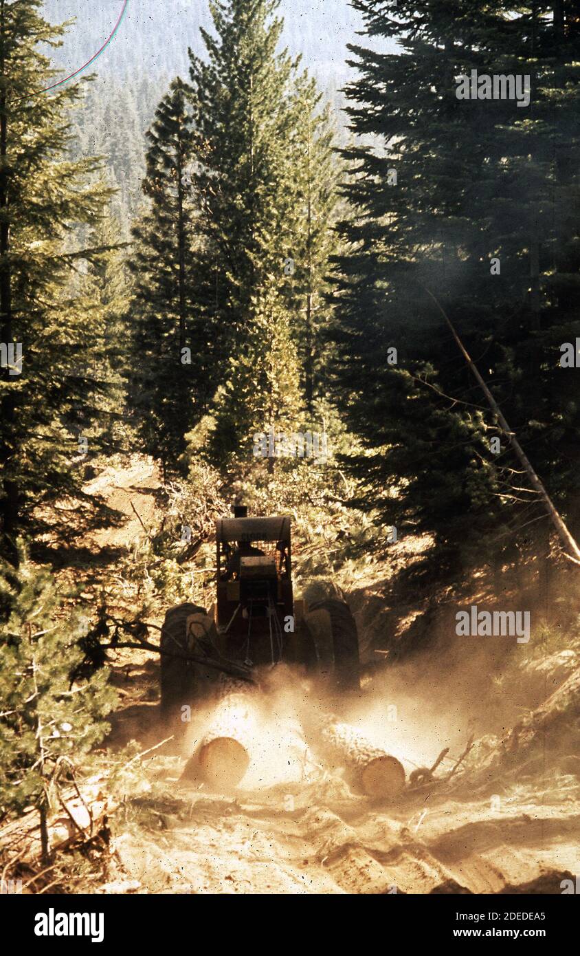 1970s national forest logging hi-res stock photography and images - Alamy