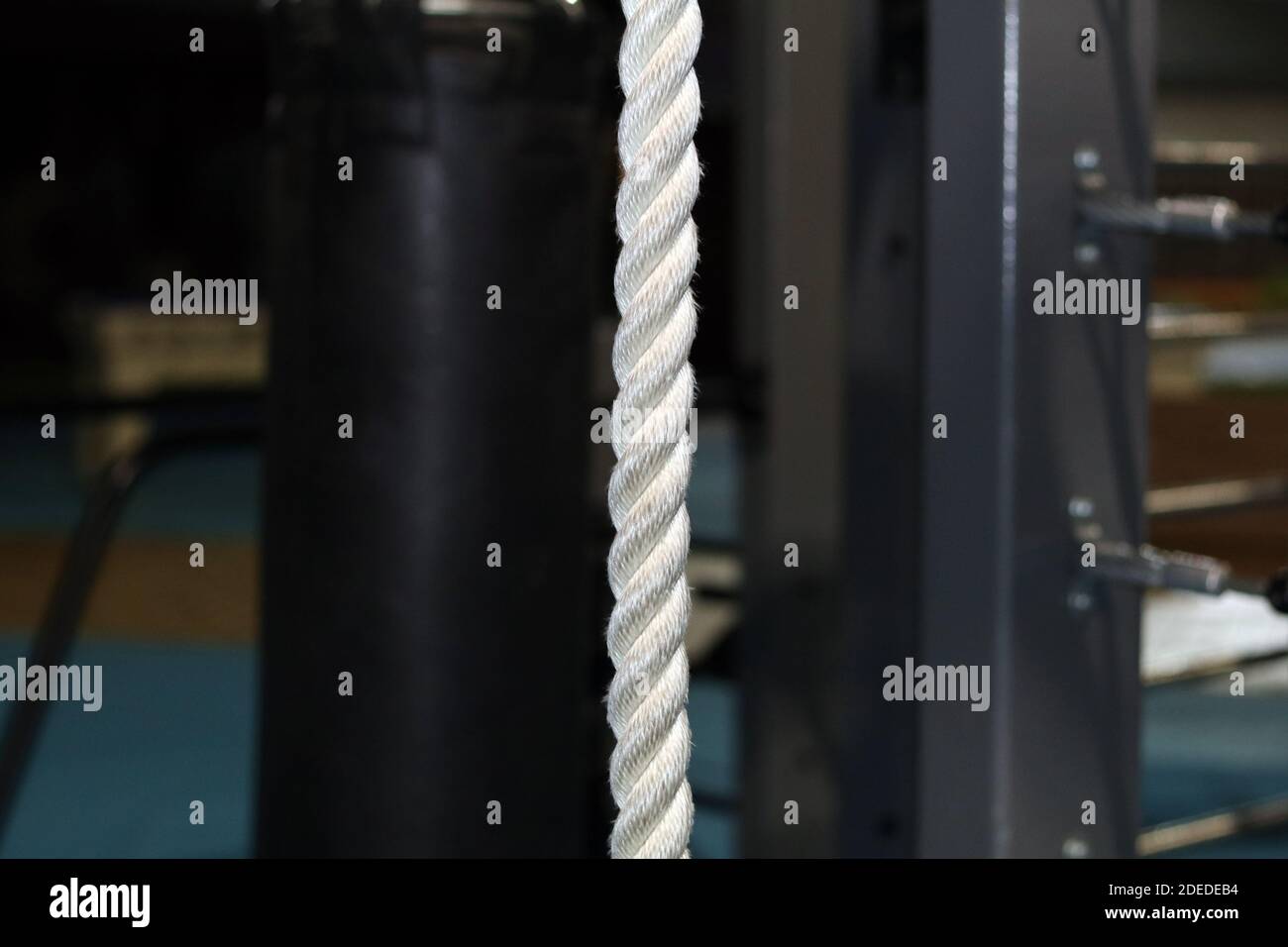 Rope hanging on a workout platform in the yard Stock Photo - Alamy