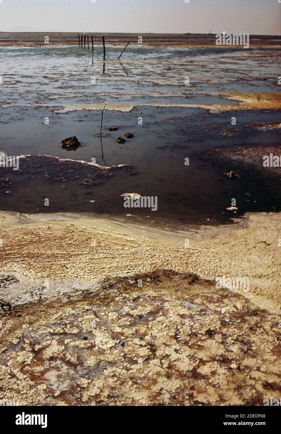 Leslie salt hi-res stock photography and images - Alamy