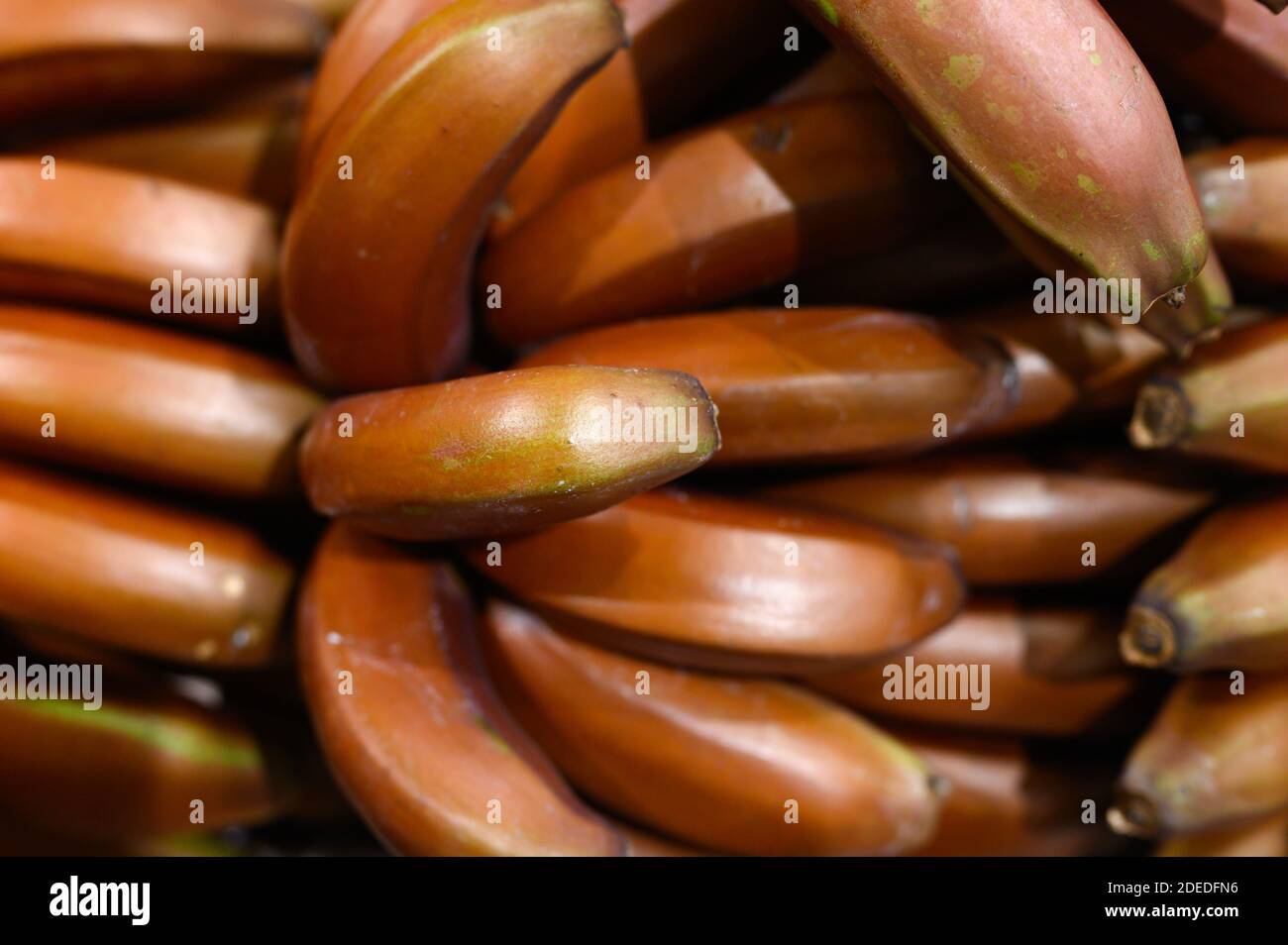a pile of fruits bananas as background Stock Photo - Alamy