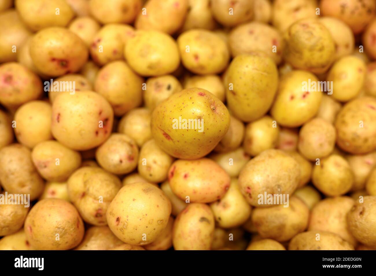a pile of vegetables washed yellow potatoes as background Stock Photo ...