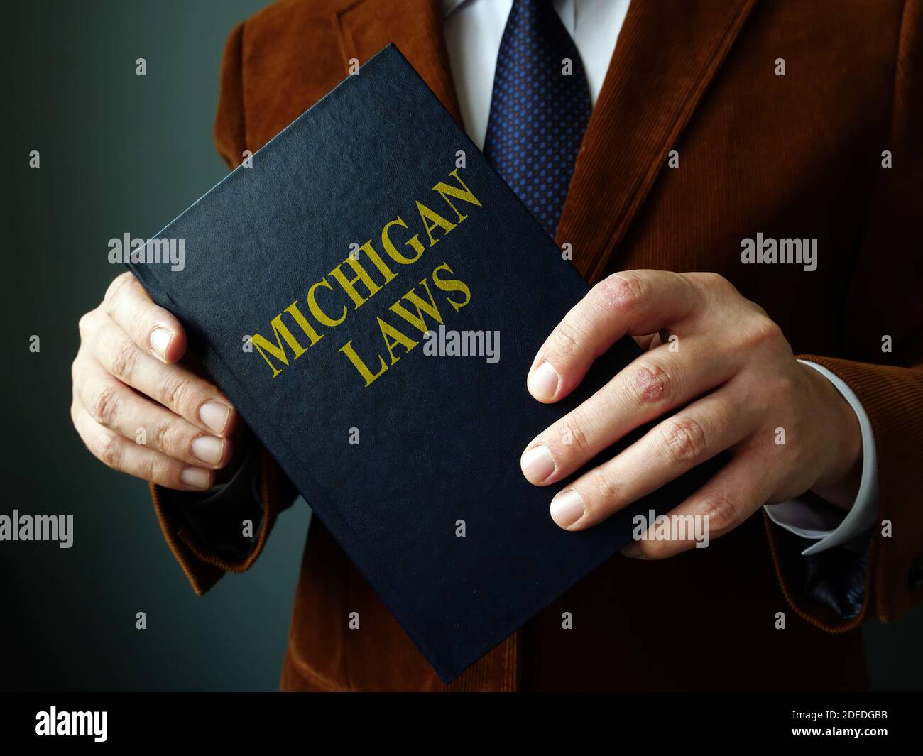 A Lawyer shows State Michigan law book Stock Photo - Alamy