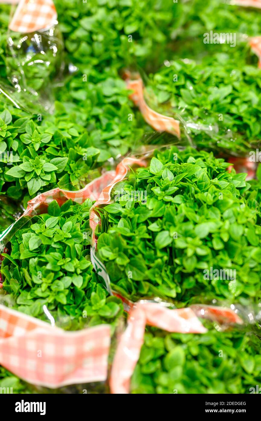 basil bundles of fresh green medicinal plants in a package Stock Photo ...