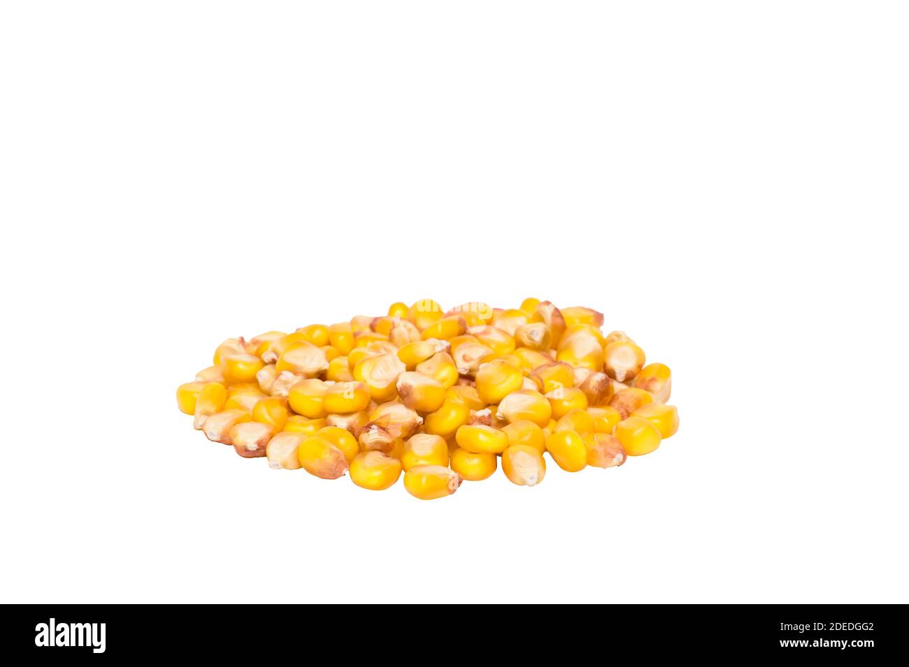 Corn kernels scattered hi-res stock photography and images - Alamy