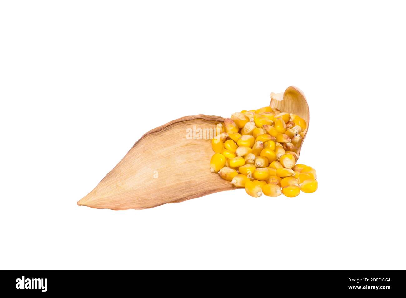 Scattered corn kernels hi-res stock photography and images - Alamy