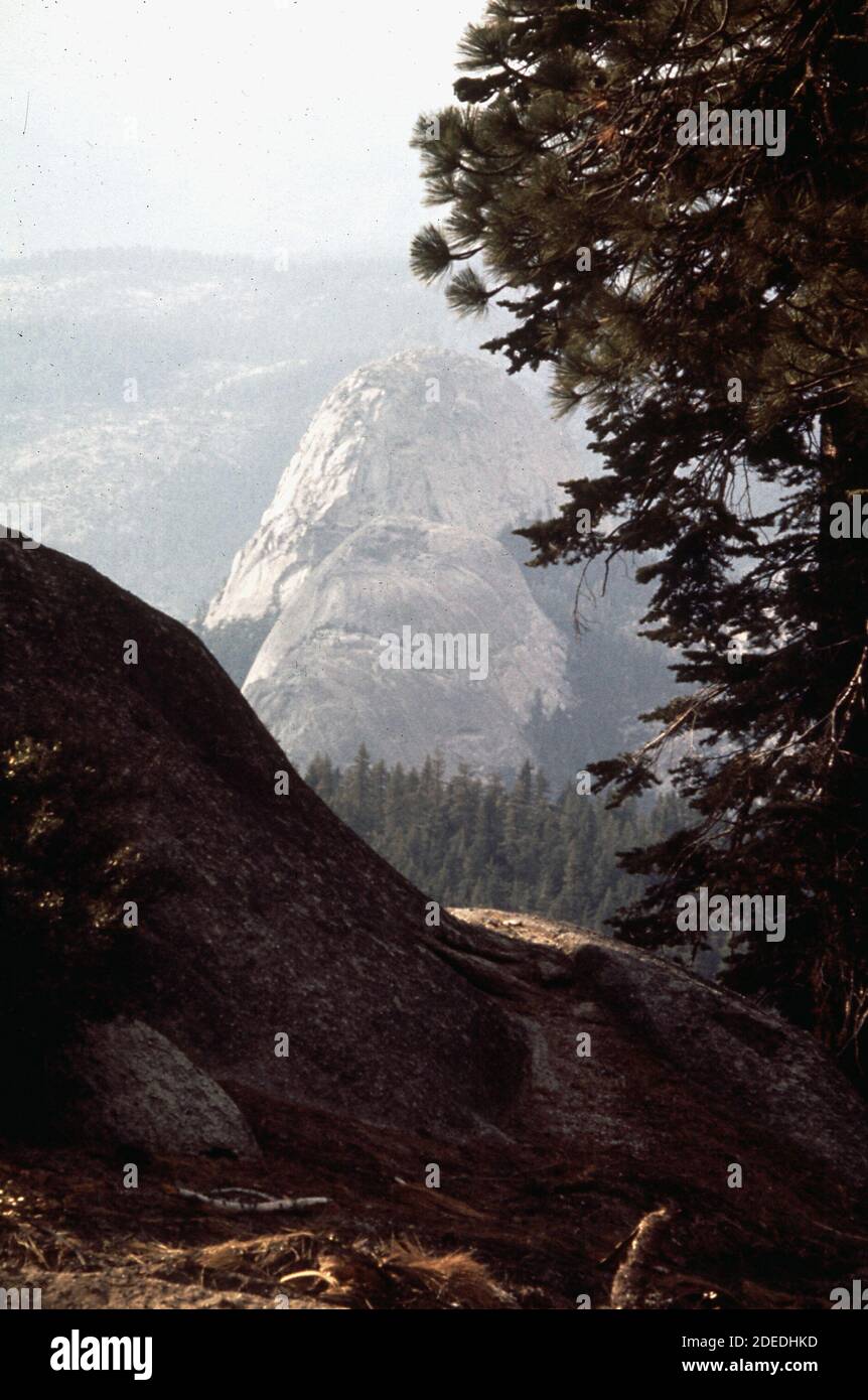1970s Photos (1972) - Area of slash (logging debris) ready to pile and ...