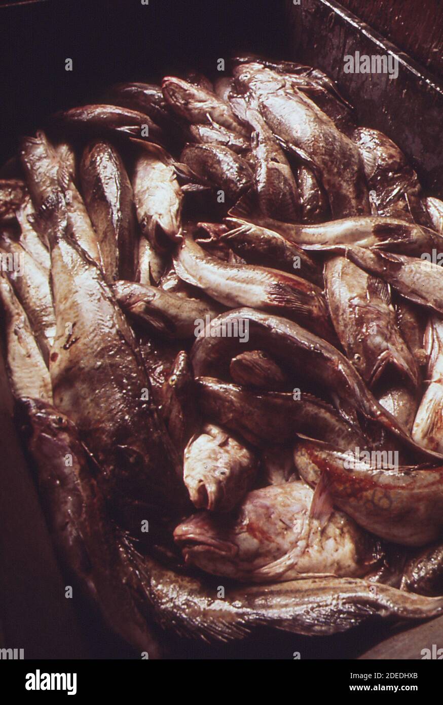 1970s astoria oregon hi-res stock photography and images - Alamy