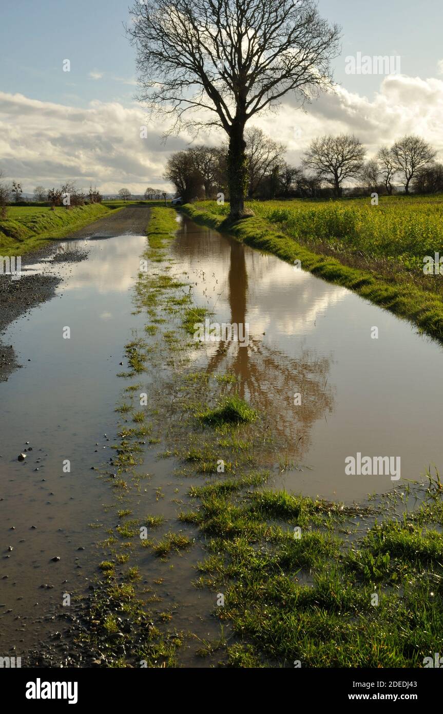 Gravel path in the rain hi-res stock photography and images - Alamy