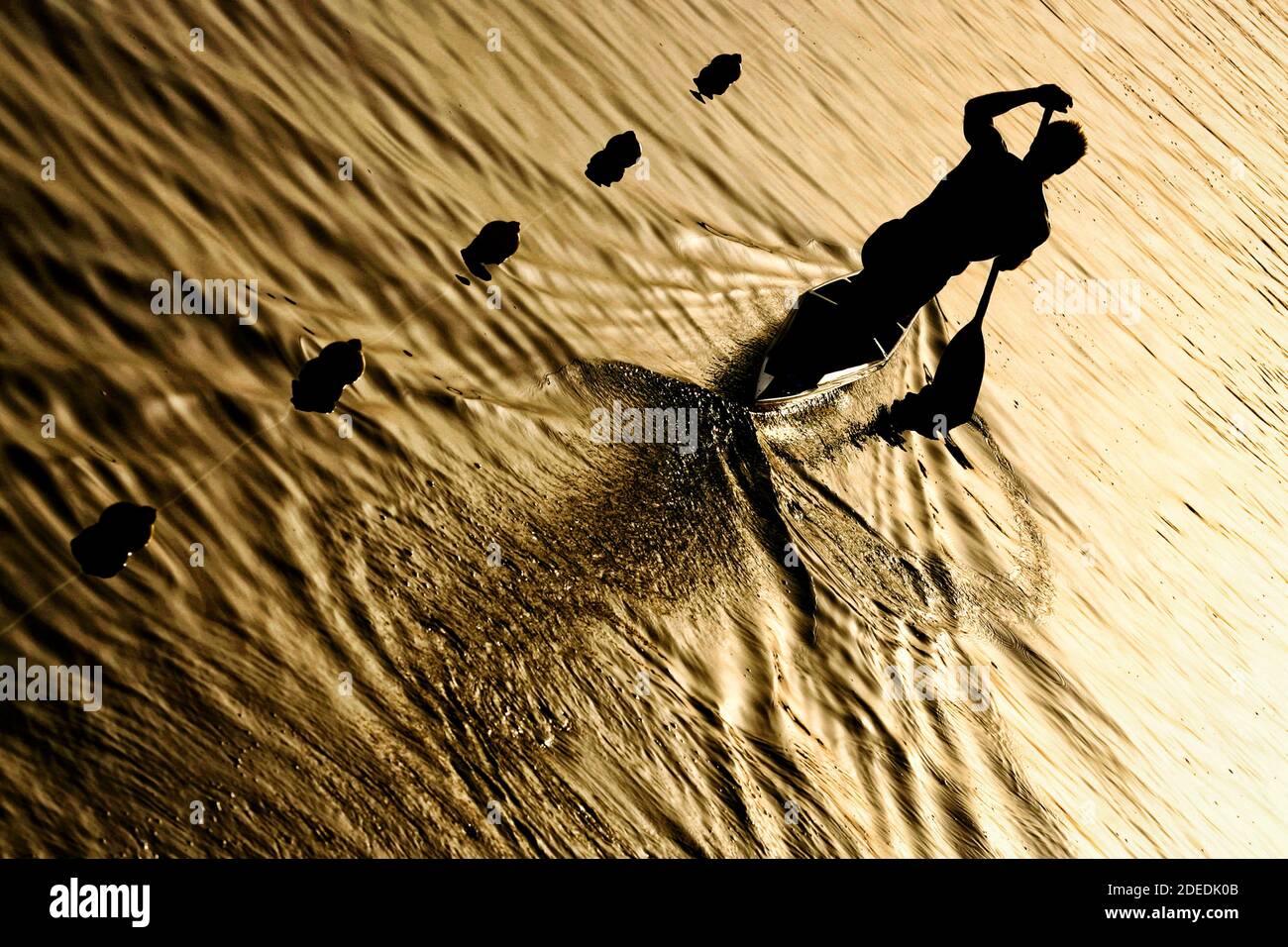 Sommer olympiade hi-res stock photography and images - Alamy