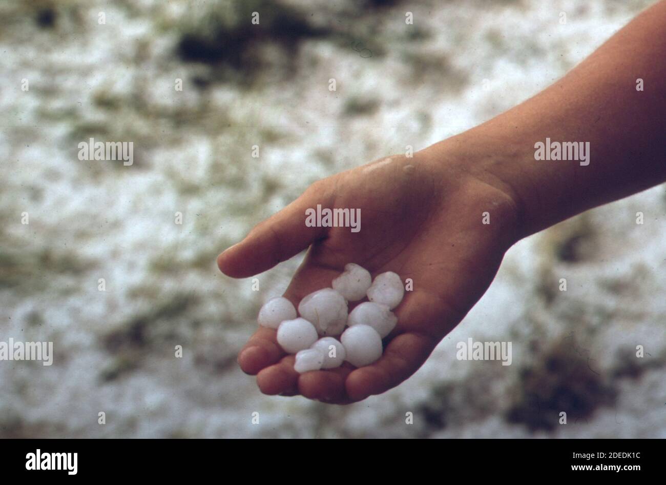 Archival hail stones hi-res stock photography and images - Alamy