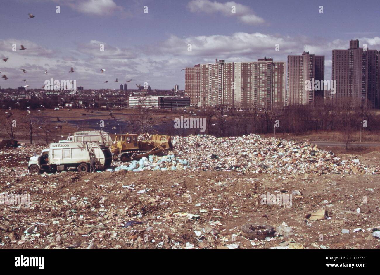Bronx Photos 1973