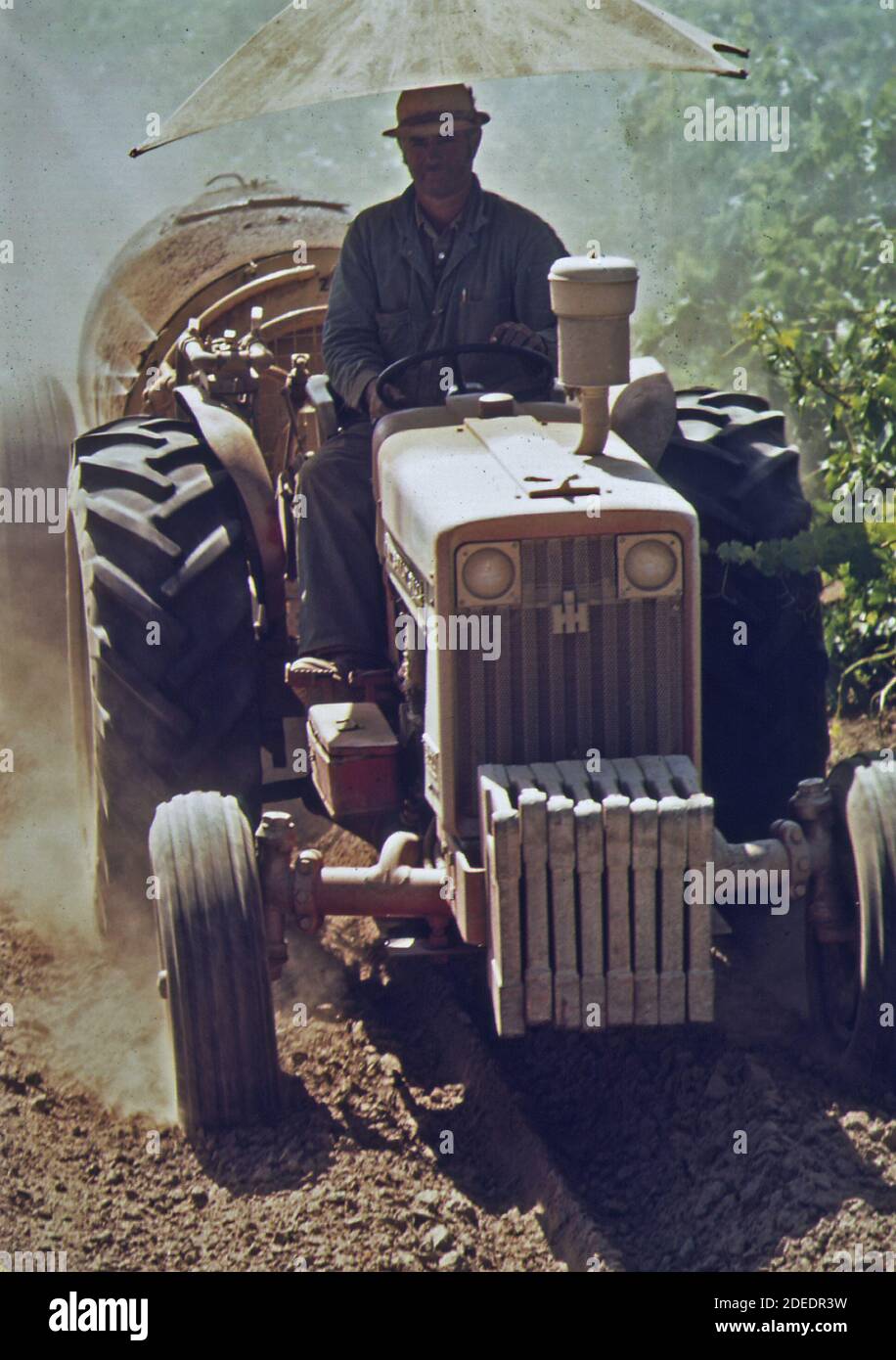 1970s Photos (1972) - Man spraying grape vines Stock Photo - Alamy