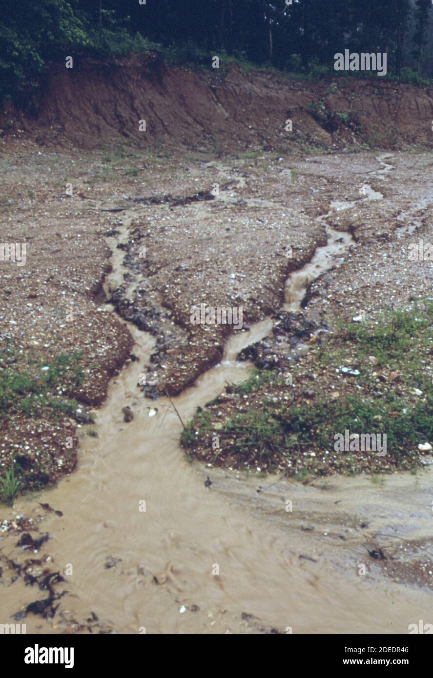 1970s Photos (1973) - Unable to absorb the driving rain; the soil is ...