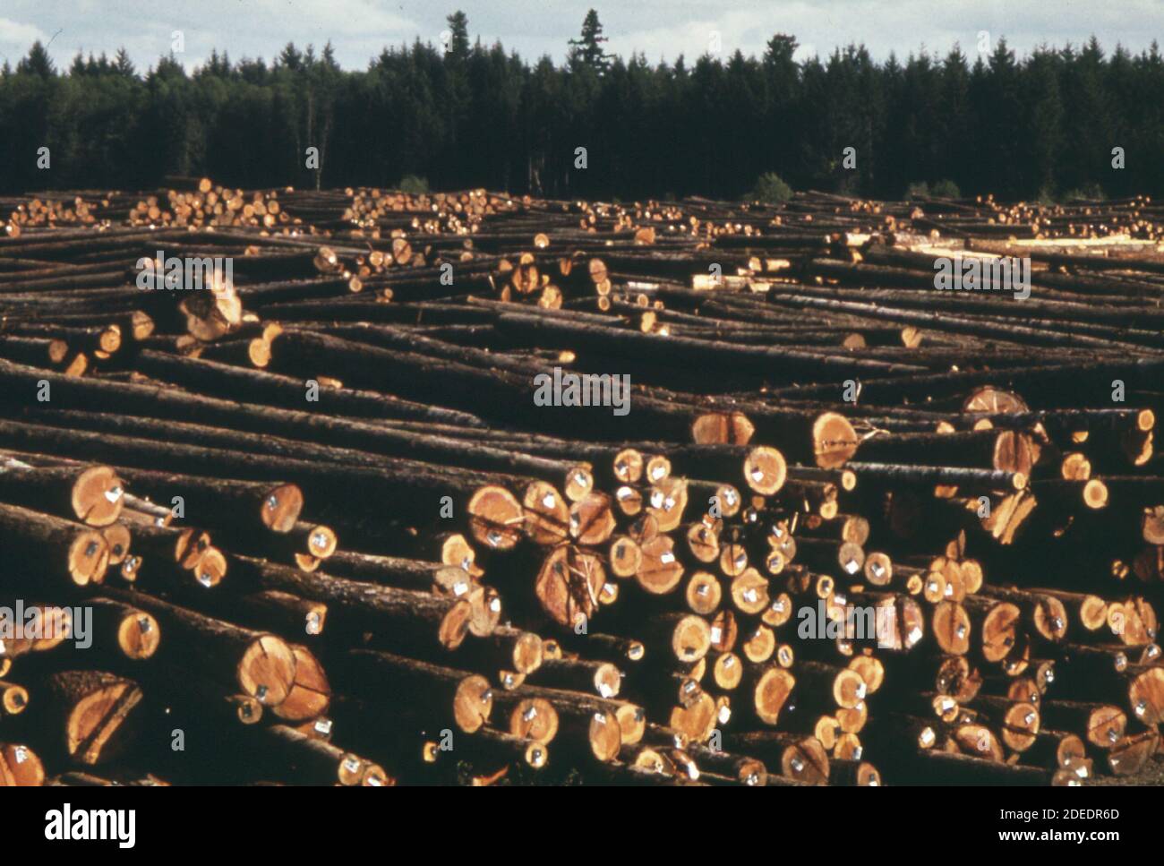 United states cold storage hi-res stock photography and images - Alamy