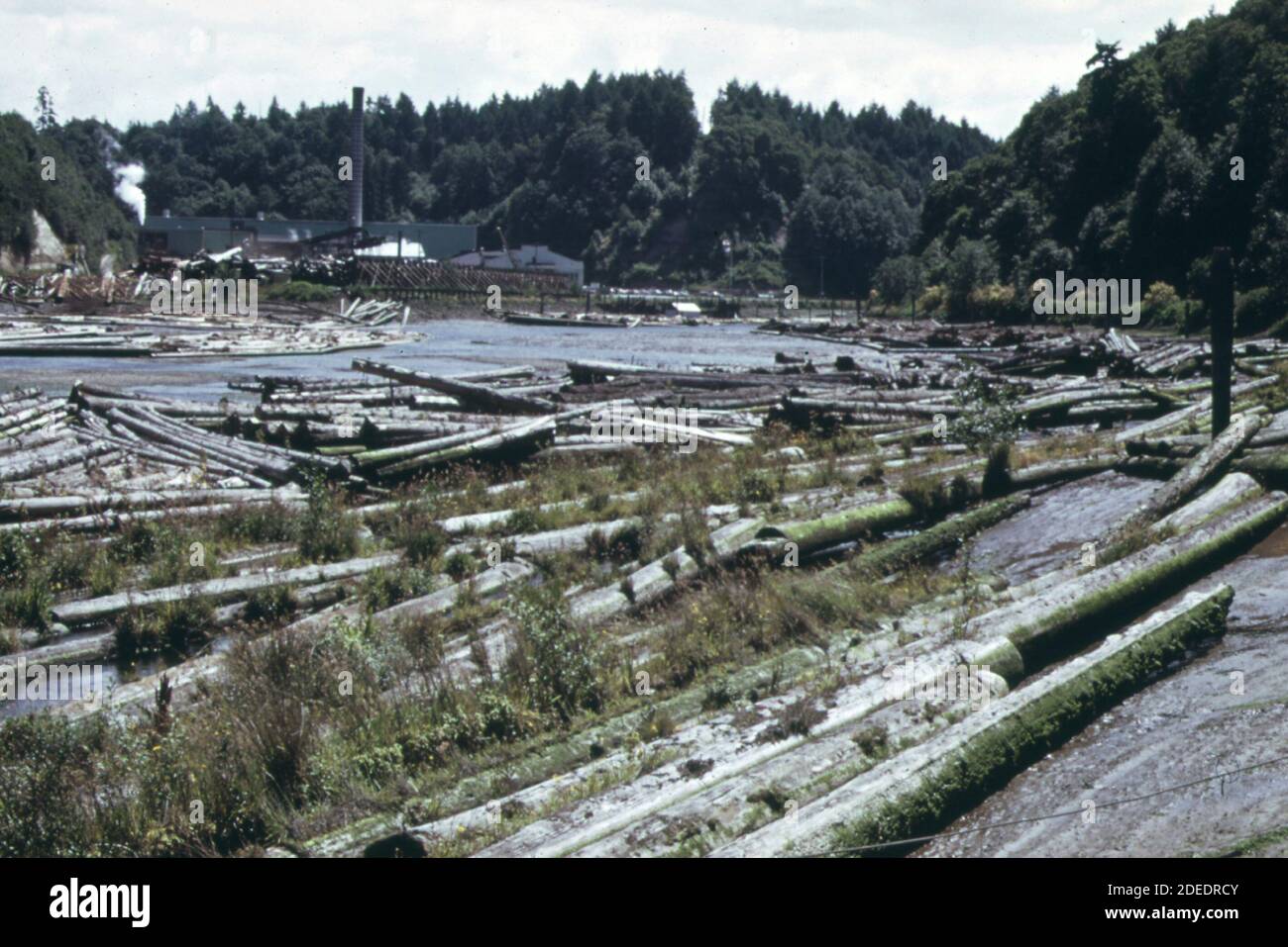 1970s logging industry hi-res stock photography and images - Alamy