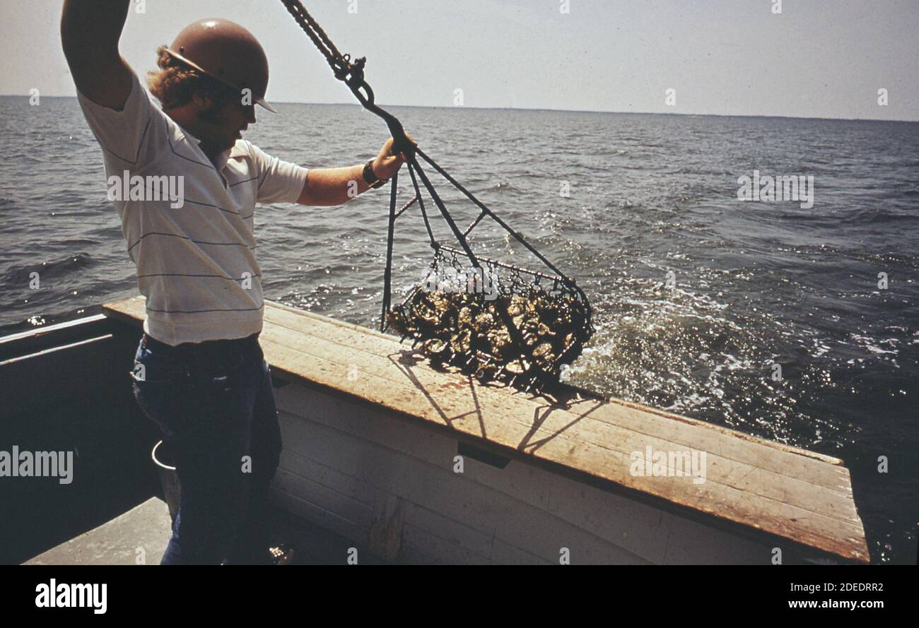 1970s epa lab hi-res stock photography and images - Alamy