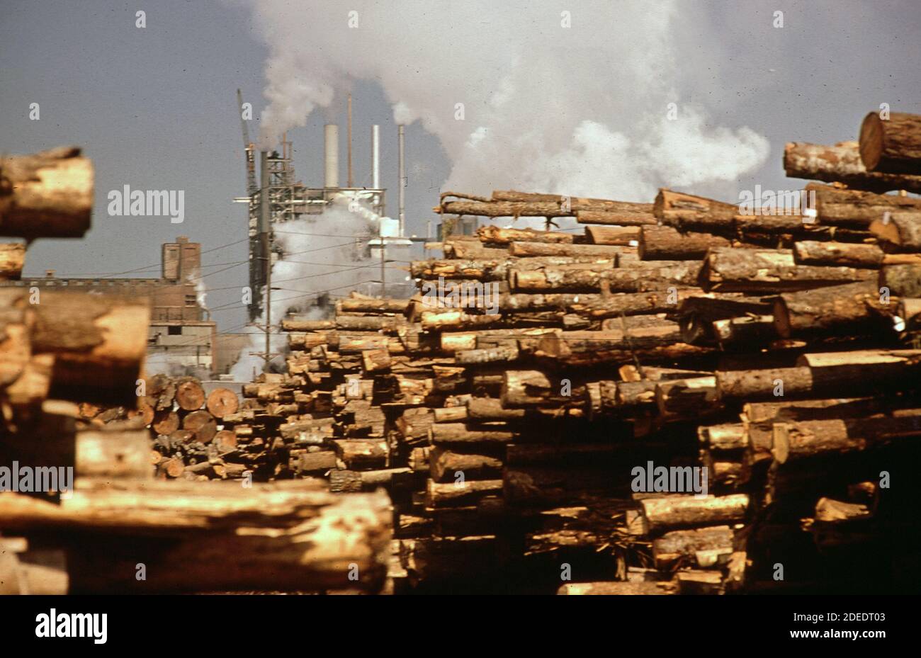1970s Photos (1972) - St. Regis pulp mill Stock Photo - Alamy