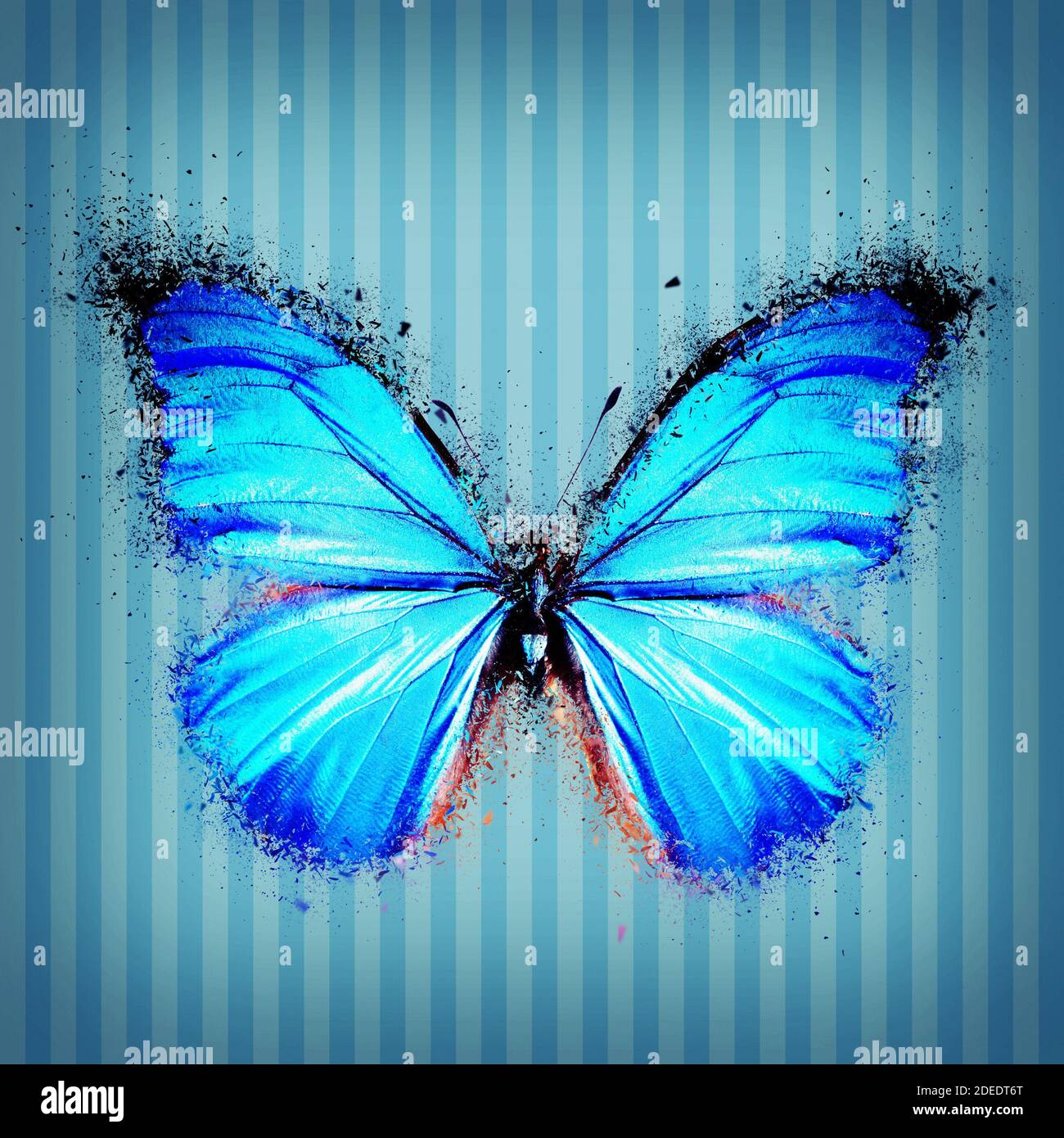 blue butterfly disintegrating Stock Photo - Alamy