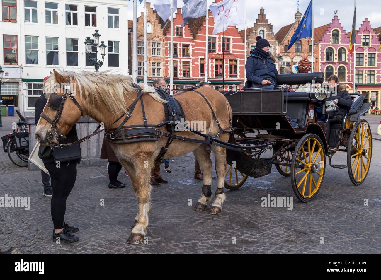 Horse drawn carriage, horse tour Brugge City centrum, , bruges city ...