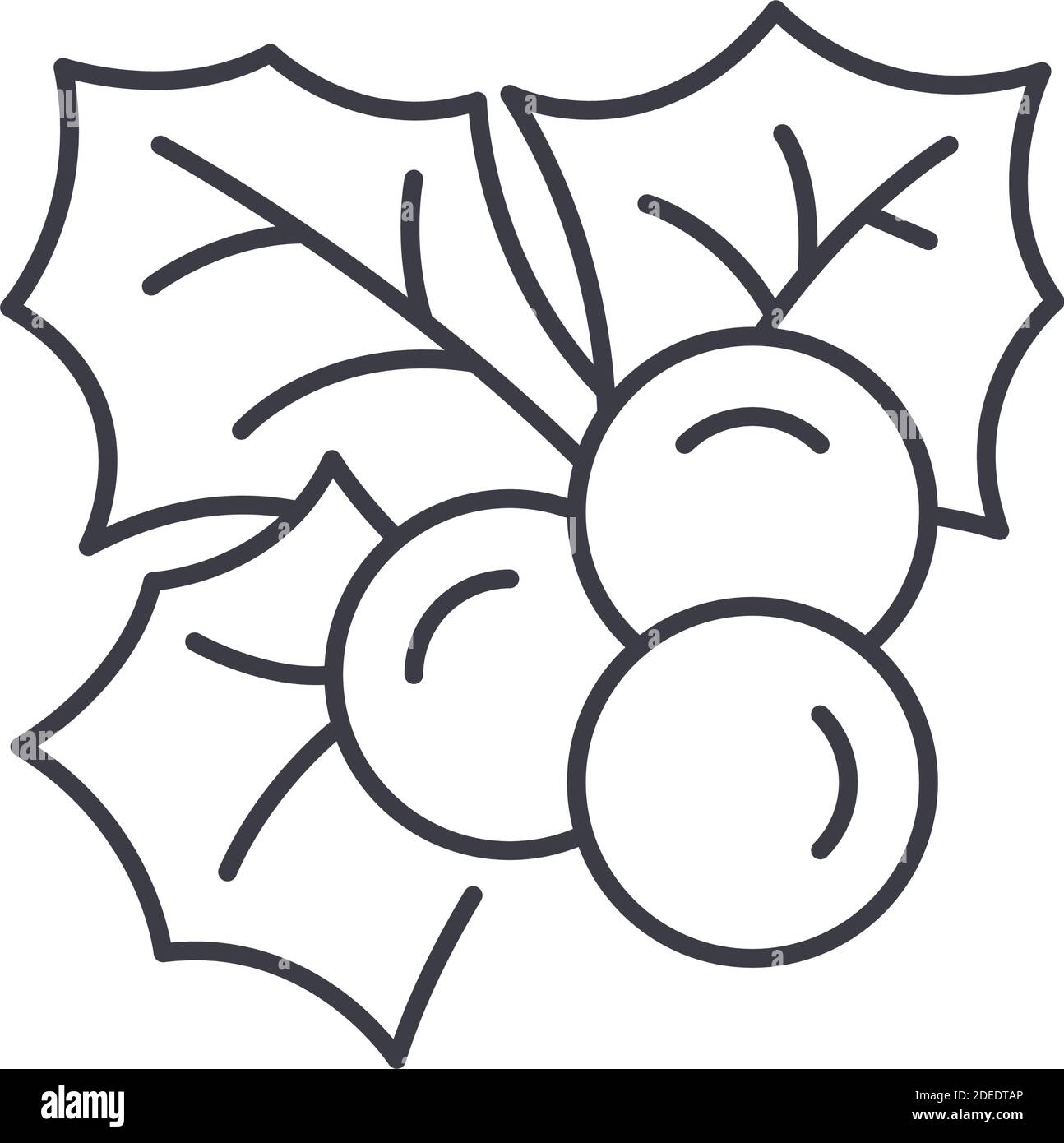 Holly light icon, linear isolated illustration, thin line vector, web ...