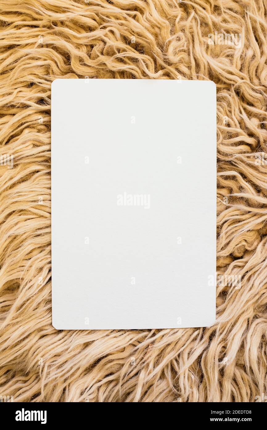 Piece of paper on hairy carpet Stock Photo - Alamy