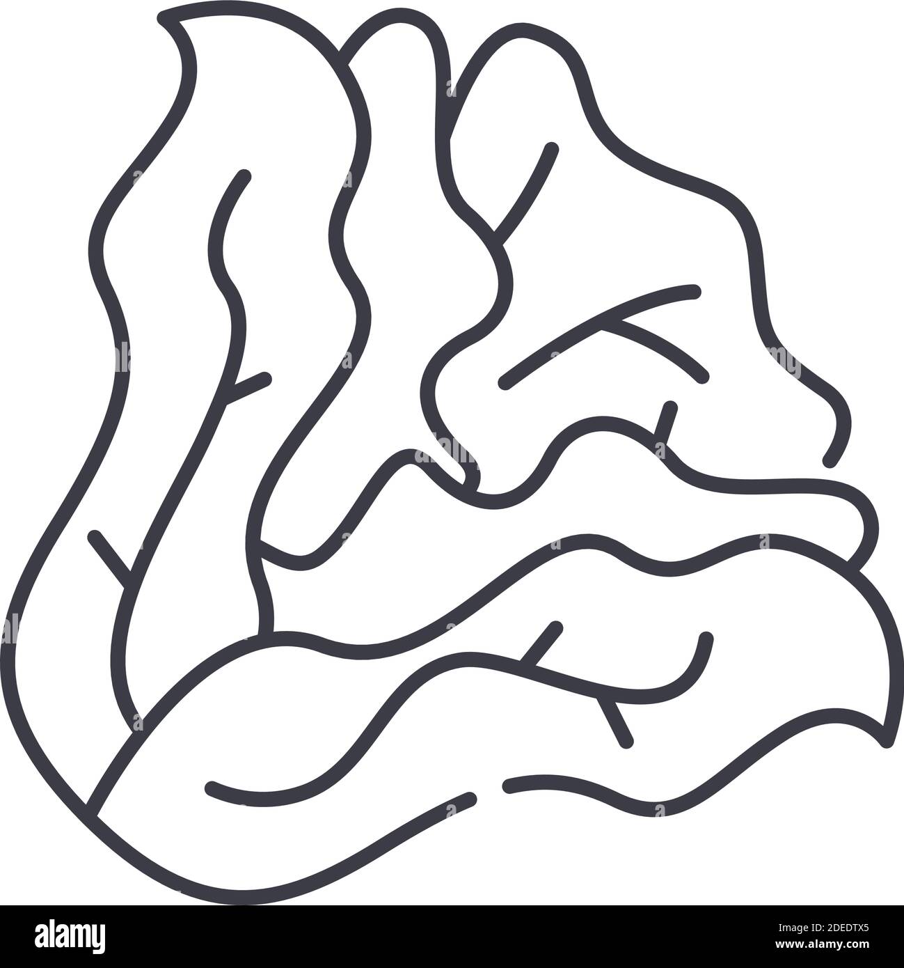 Green salad icon, linear isolated illustration, thin line vector, web ...