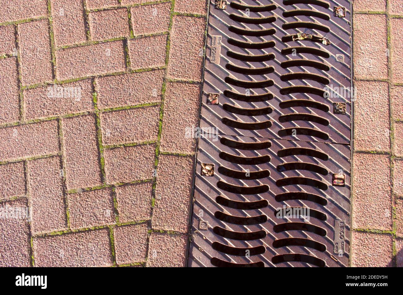 Closeup of a rain drainage grid in the street Stock Photo - Alamy