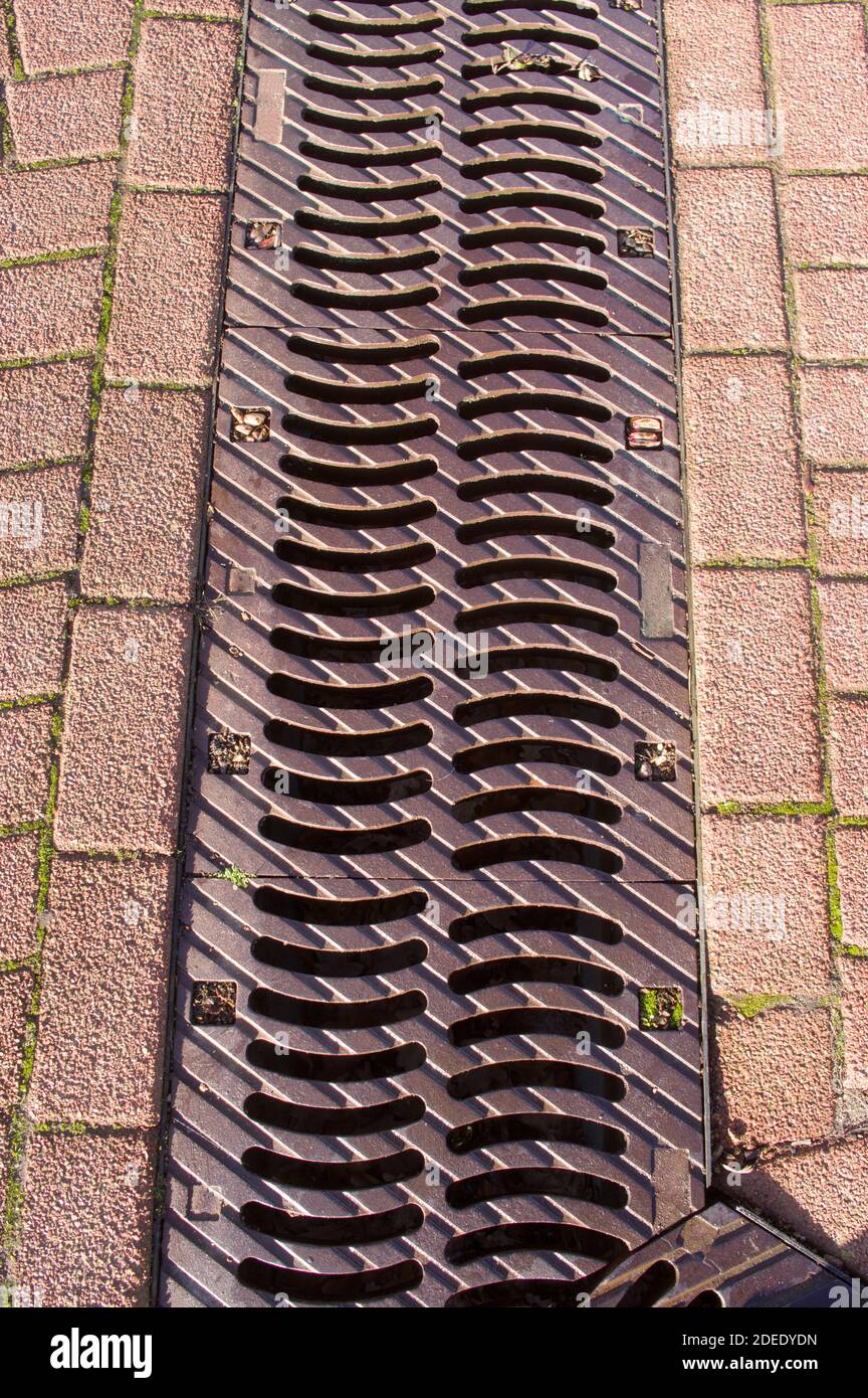 Closeup of a rain drainage grid in the street Stock Photo - Alamy